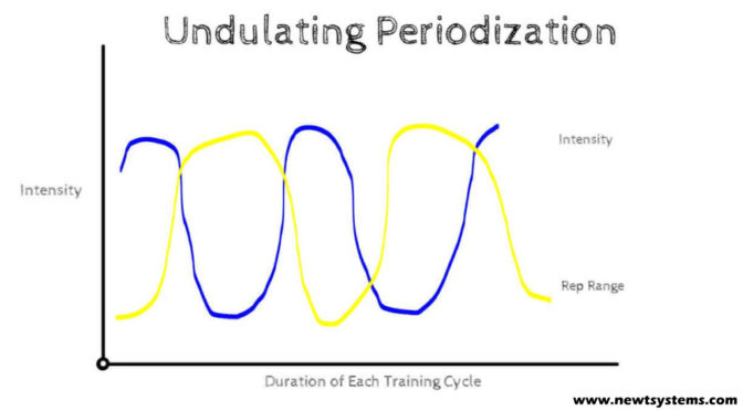 non linear periodization | The Perfect 105